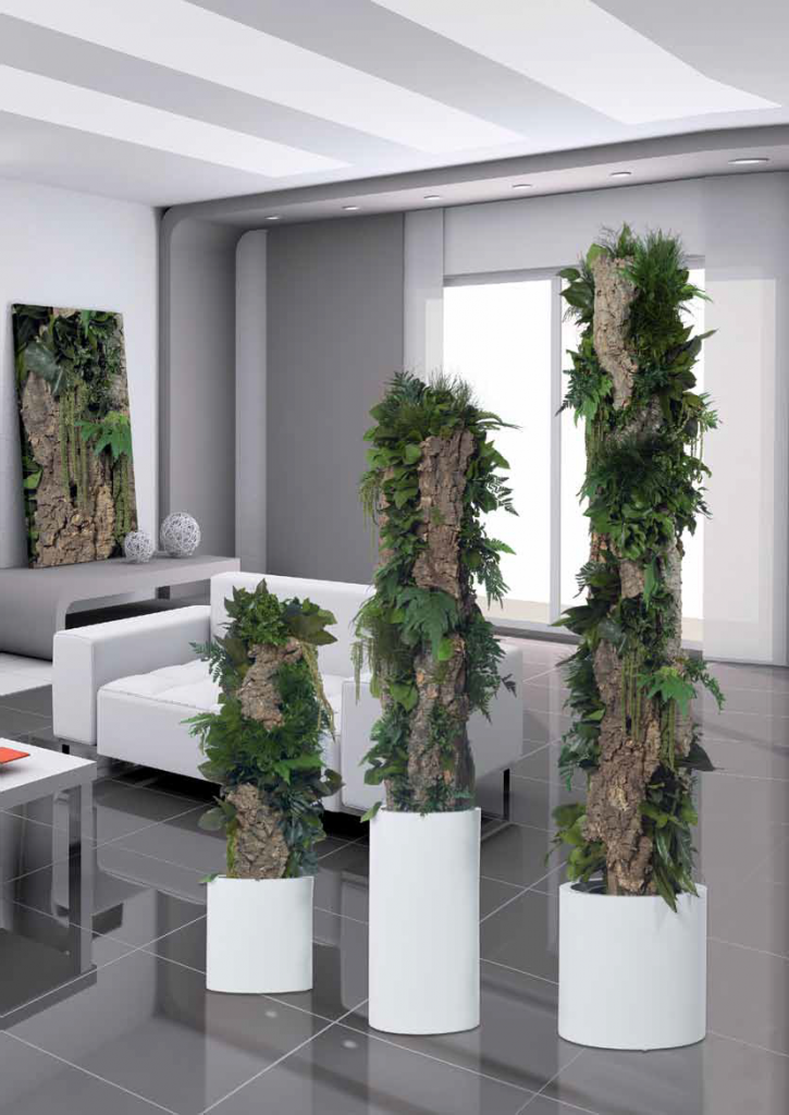 Tartósított növények díszfák